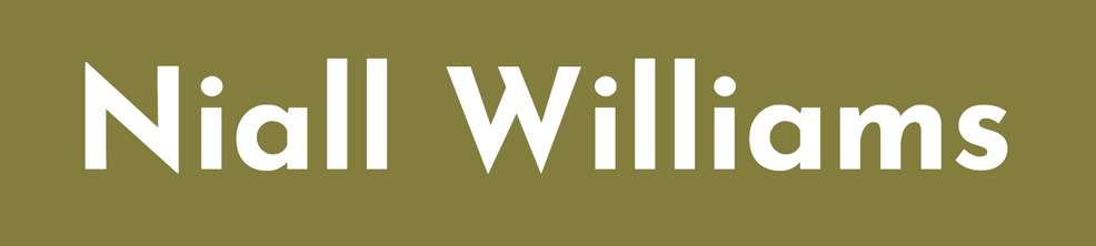 Time of the Child – Niall Williams